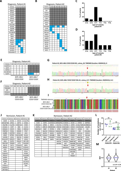 Detection Of Mutations In Bcr Abl1 Positive Cml Sc And Bcr Abl1 Download Scientific Diagram