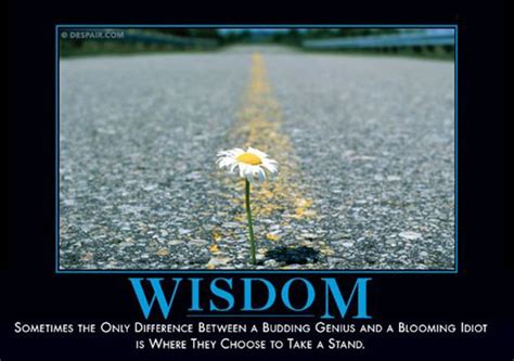 The 20 Funniest Demotivational Posters Quotes And Memes To Share On