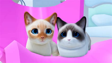 Kitten Game A Beginner S Guide Deltia S Gaming