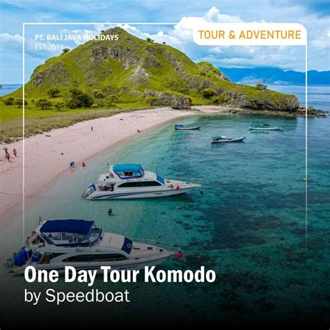 Komodo Dragon Island Tour 1 Day Experience The Best Of Bali And Java