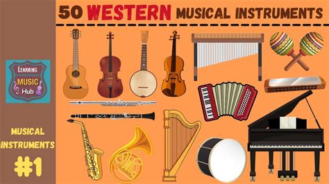 Types Of Percussion Musical Instruments