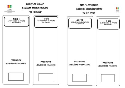 Modelo De Papeleta Pdf
