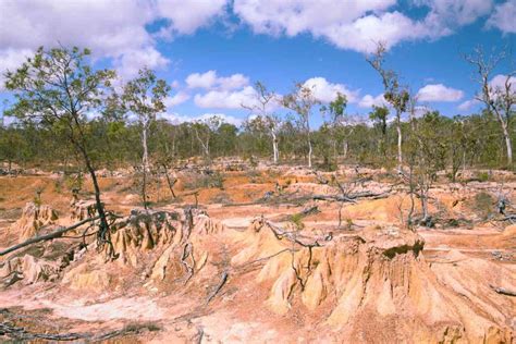 What Is Desertification Faqs What Is Desertification Faqs