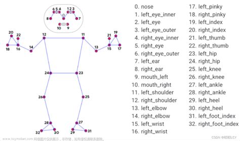 Mediapipe——人体姿势关节点检测 Pose模块 学习笔记 全 Toy模板网