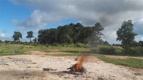 11 Object Detection Dataset By Gachon