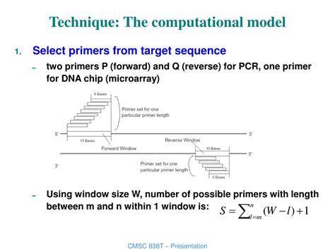 Ppt Real Time Primer Design For Dna Chips Powerpoint Presentation