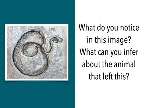 4th Ls3 Digital Tracks April Smiths S T E M Class