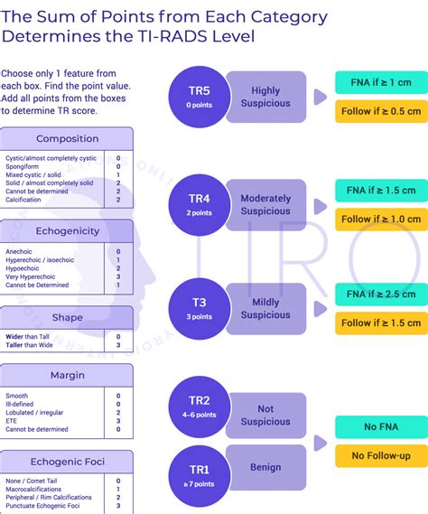 tiro figure 2 acr ti rads classification of thyroid nodules marked tiro
