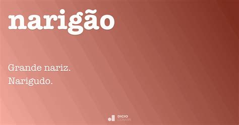 Narigão Dicio Dicionário Online De Português