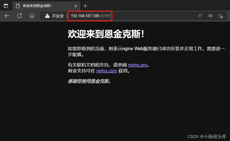 Docker网络与资源控制docker 虚拟网卡 Csdn博客
