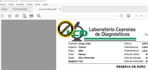 Report To Printer Pdf Clarionhub