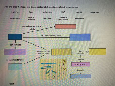 Solved Drag And Drop The Labels Into The Correct Empty Boxes