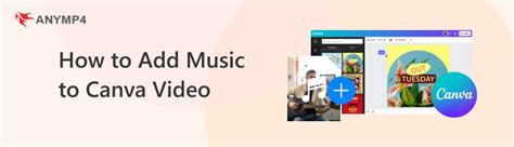How To Add Music To Canva Video Projects Like A Pro