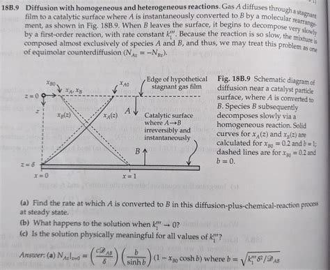 solved 18b 9 diffusion with homogeneous and heterogeneous