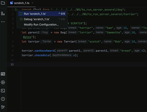 running and debugging typescript intellij idea documentation