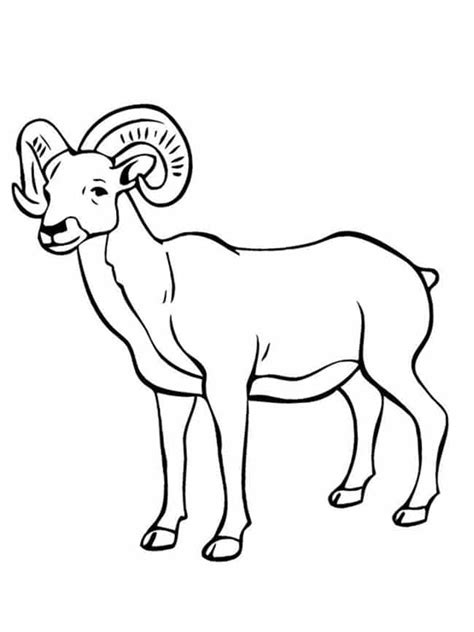 21 Desenhos De Chifre Para Imprimir E Colorir Pintar