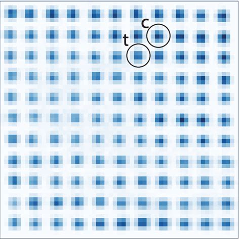 progress in neutral atom quantum computing with a 2d array of qubits