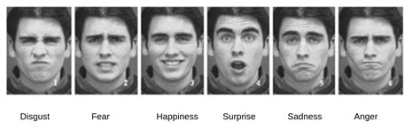 Facial Expression Recognition Fer