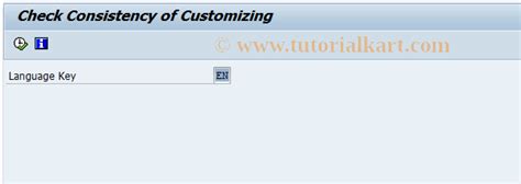 Fsbp Tc Cust Check Sap Tcode Check Consistency Of Customizing