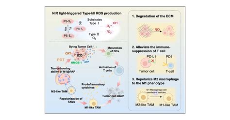 Nitric Oxide Producing Multiple Functional Nanoparticle Remodeling