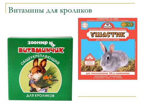Кролики - домашние питомцы - презентация онлайн