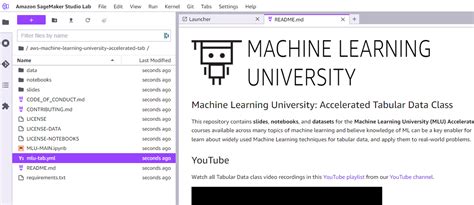 Inability To Reimage SageMaker Studio Lab Instance To Get The Space Back Issue Aws