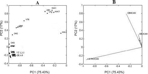 pca outputs for measured gc profiles a score plot and b loading