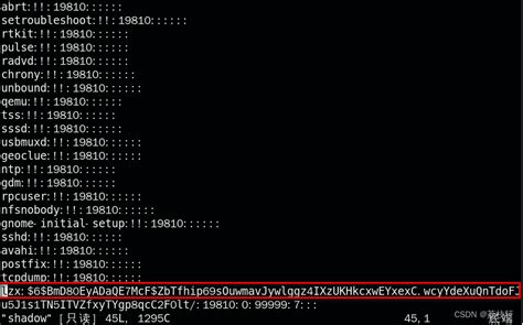 vim编辑器使用教程（非常详细，基础操作看一篇就够了） csdn博客