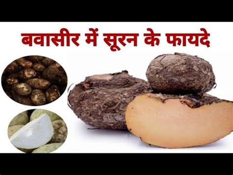 बवासीर में सूरन के फायदे Suran Benefits For Piles In Hindi🔥🔥🔥 Youtube