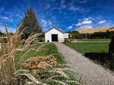 Stutzman Ranch Updated July 2026 57 Photos And 23 Reviews 2226 Easy