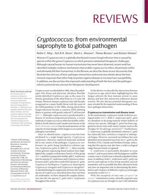 Pdf Cryptococcus From Environmental Saprophyte To Global Pathogen