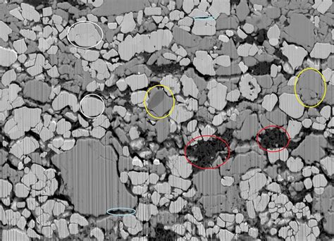 Three Phase Segmentation Of Sem Image Image Analysis Imagesc Forum