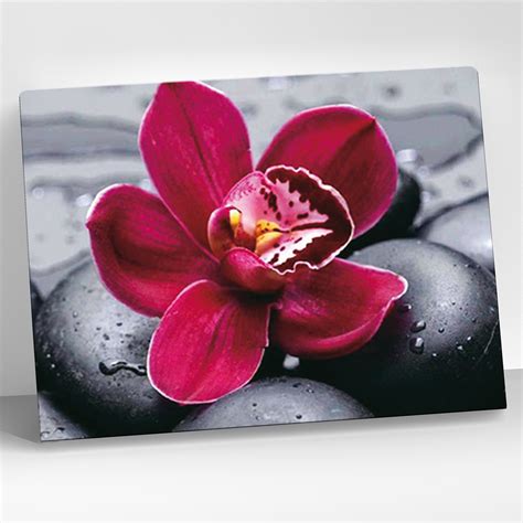 Картинки на рабочий стол обои на телефон