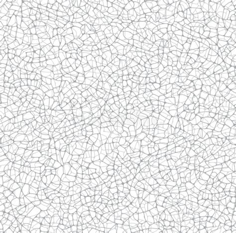 Vector Texture Of Irregular Cracks White Background Stock Vector Illustration Of Separate