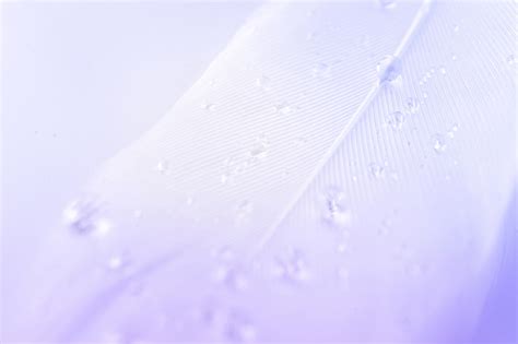 깃털이 부드럽습니다 매크로 사진 부드러운 초점에 흰색 배경에 여러 가지 빛깔의 파스텔 천사 깃털 클로즈업 텍스처 패션 칼라 트렌드 봄 여름 0명에 대한 스톡 사진 및 기타