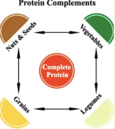 Module 2 Flashcards Quizlet