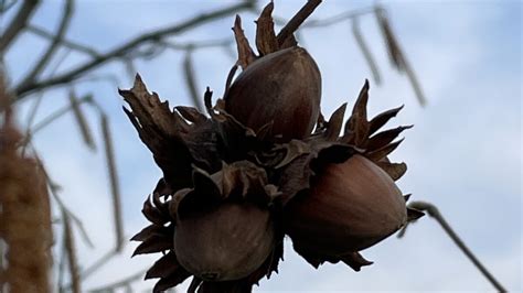 Prkos Glossyenergyblog