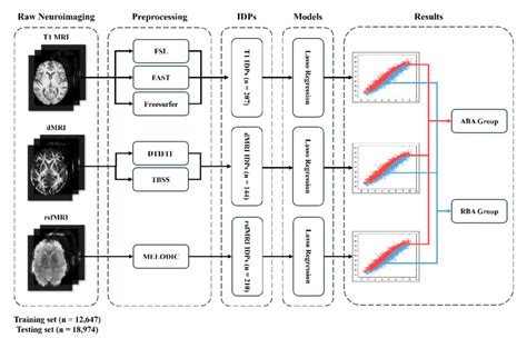 Flowchart Illustrating The Categorization Of Aba And Rba Subjects