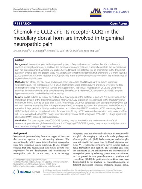 Pdf Chemokine Ccl2 And Its Receptor Ccr2 In The Medullary Dorsal Horn
