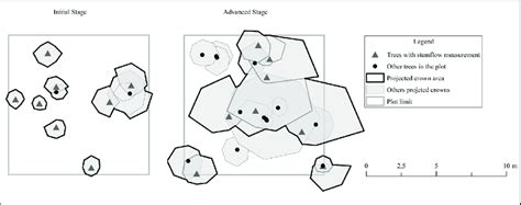Diagram Of The Projected Crown Area Evaluation Download Scientific Diagram