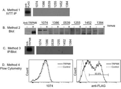 Pilot Study To Determine Whether Transient Receptor Potential