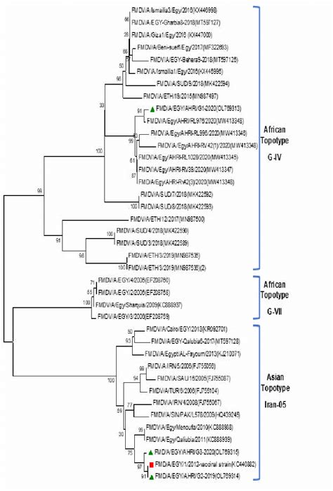 Phylogenetic Tree Constructed Using The Neighbor Joining Method Download Scientific Diagram