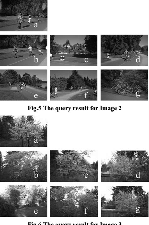Figure 6 From A Textural Feature Based Image Retrieval Algorithm Semantic Scholar