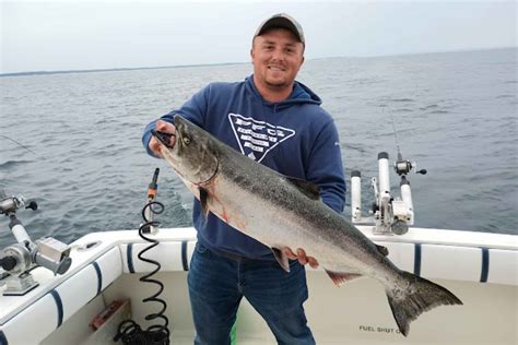 Lake Michigan Fish Guide To Species Seasons And How To Catch