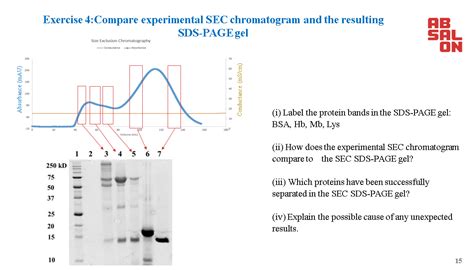 Solved Exercise 4 Compare Experimental Sec Chromatogram And