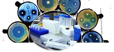 Antimicrobialplasticsmarket Antimicrobialplastics Marketresearch