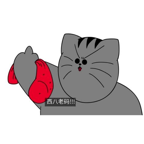 哎古c8 Shake It Youtube