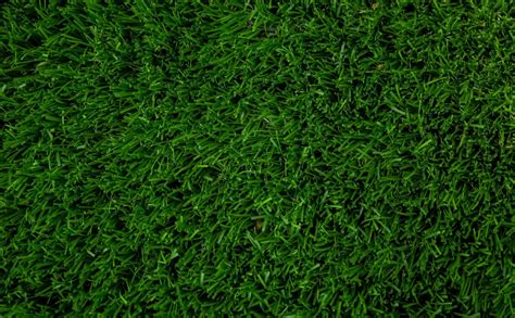 How to Stop Scalping Your Lawn While Mowing