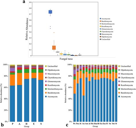 A The Relative Abundance Of Major Functional Groups B Species Download Scientific Diagram