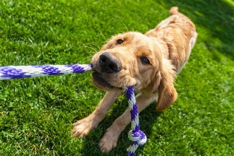 Subtracting Vectors A Guide For Beginners K12 Tutoring Subtracting Vectors A Guide For Beginners K12 Tutoring